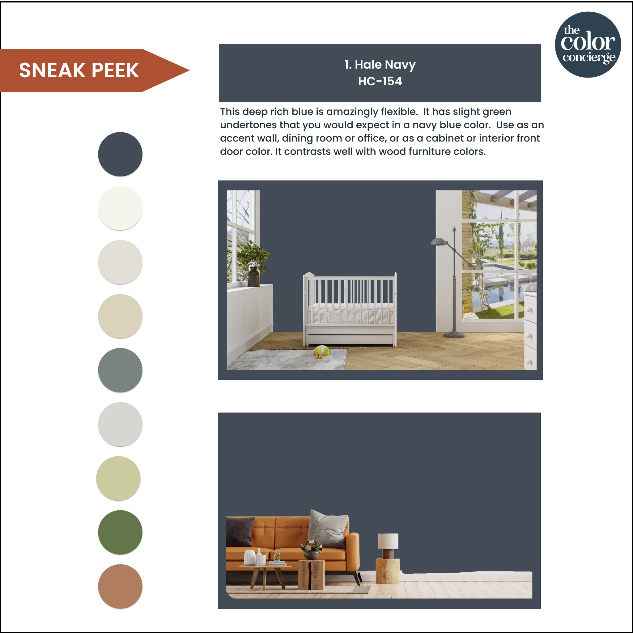 Benjamin Moore Hale Navy Color Palette Guide | Color Concierge – The ...