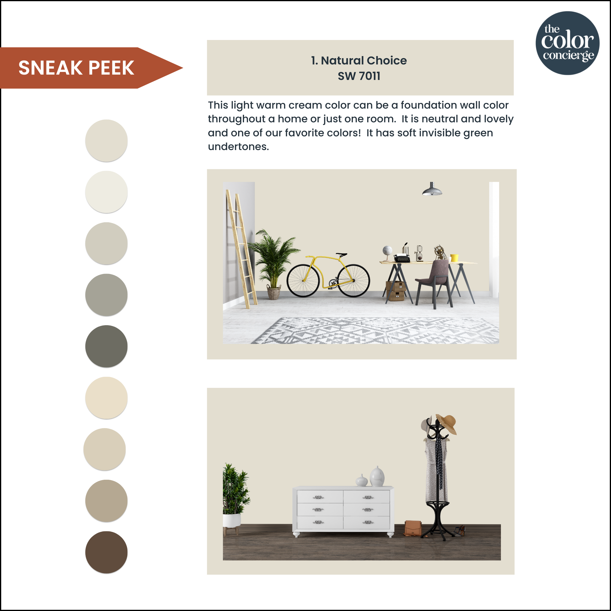 Sherwin-Williams Natural Choice Color Palette Guide | Color Concierge ...