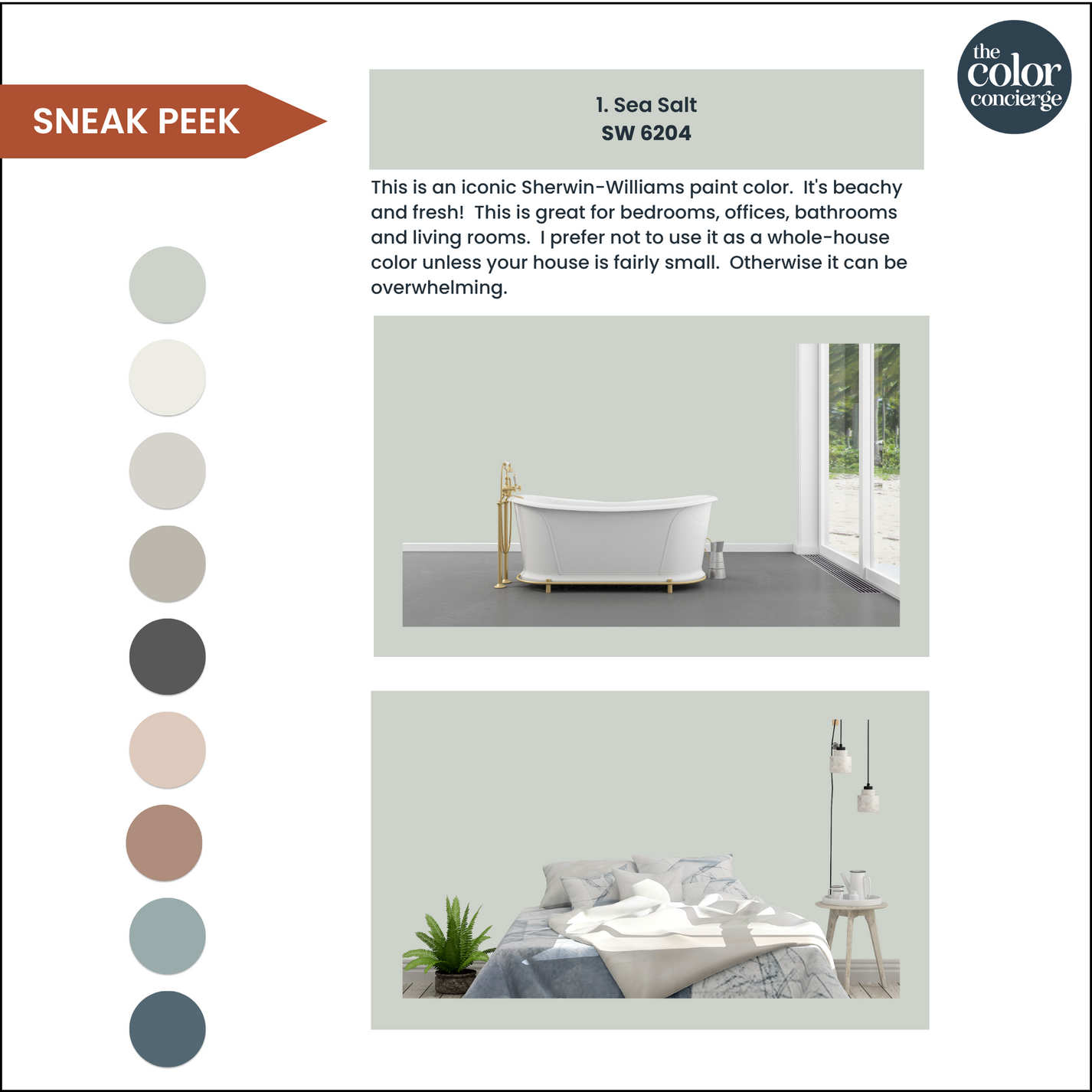 Sherwin-Williams Sea Salt Color Palette Guide | Color Concierge – The ...