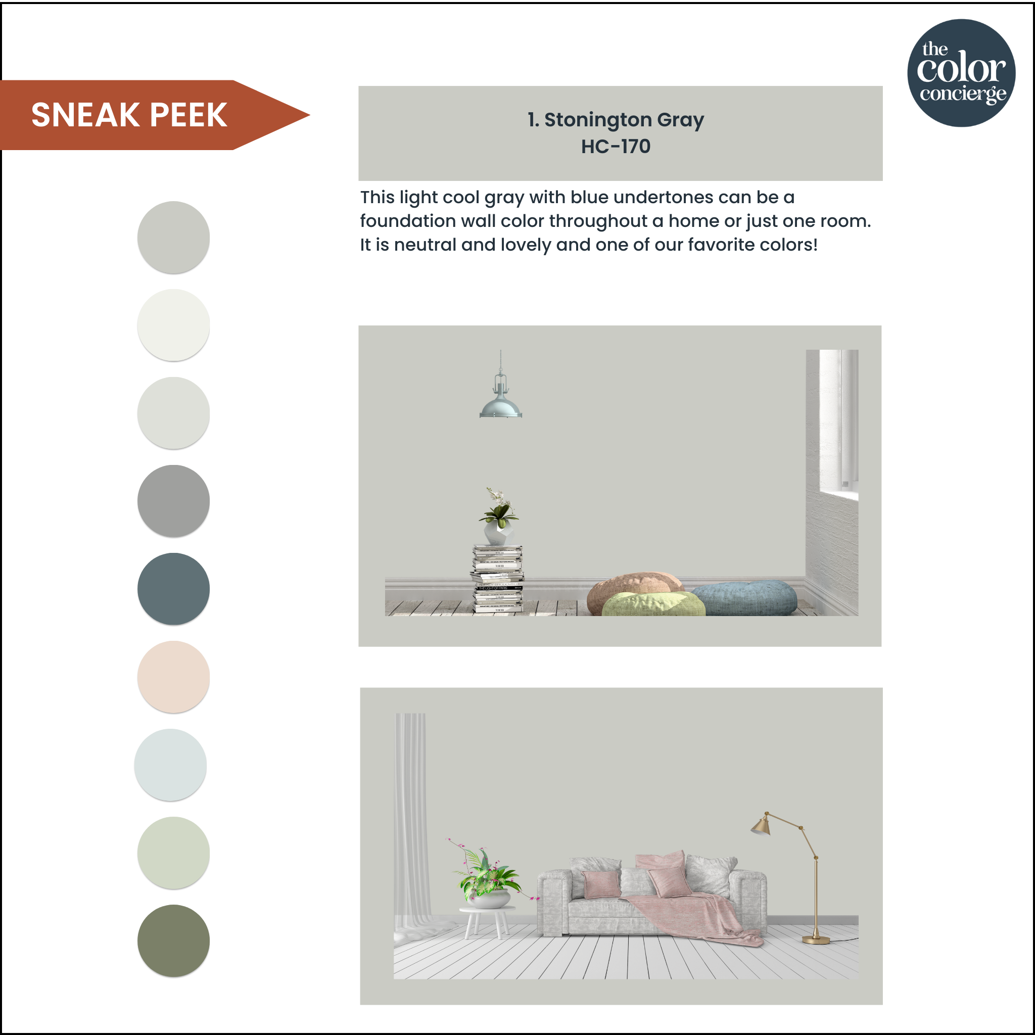Benjamin Gray Stonington Gray Color Palette | Color Concierge – The ...