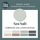 Sea Salt Ready-Made Color Palette – The Color Concierge